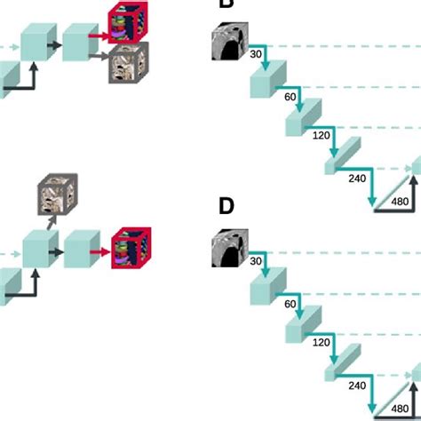 Schematic Of The Four Network Architectures With Dual Segmentation Download Scientific Diagram