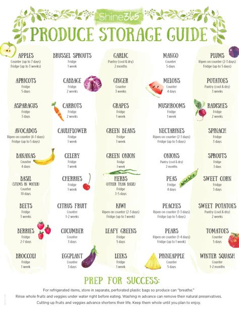 Printable Fruit And Vegetable Storage Chart At Tess Harris Blog