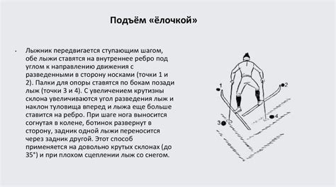 Способы преодоления подъёмов Лыжный спорт это полезно презентация