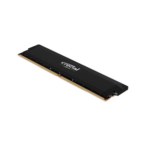 Crucial Pro 16gb Ddr5 6000 Pc Memory Technextday
