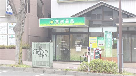 新規薬樹薬局 成瀬東京都町田市南成瀬一丁目8番地3 有限会社成瀬シティーサービス第2ビル1階SCUELスクエル