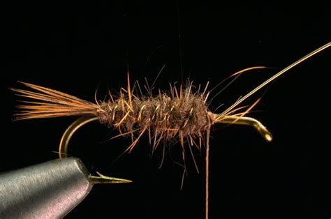 Tying The Hares Ear Nymph Fly Fisherman