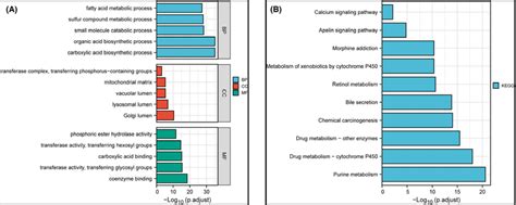 Functional Enrichment Analysis A Gene Ontology Go Enrichment