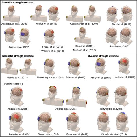 New Paper Effect Of Tdcs On Exercise Performance A Systematic Review