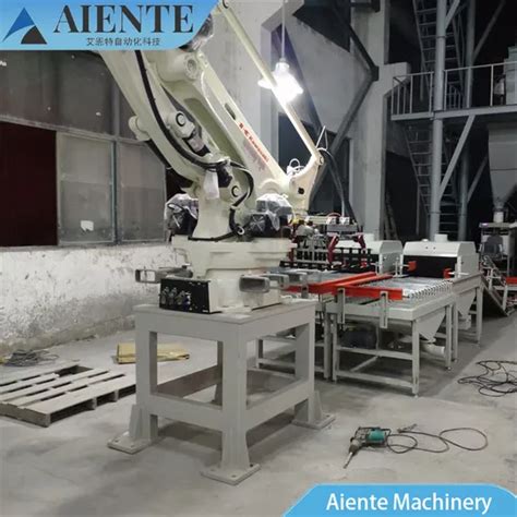 Industrial Handling Manipulator Robot Programmable Payload 30kg Loading Robotic Arm