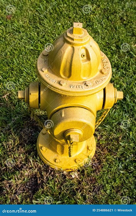 Vertical Shot Of A Yellow Fire Hydrant Surrounded By Grass Covered Ground Stock Image Image Of