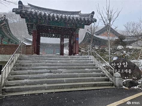 한국 최초의 호두나무가 자라는 곳 천안 광덕사 네이버 블로그