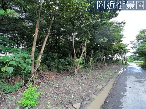 善化台積電烏橋中路41分ㄧ般農地c 台南市善化區胡厝寮段房屋 Yc0024209 台慶不動產