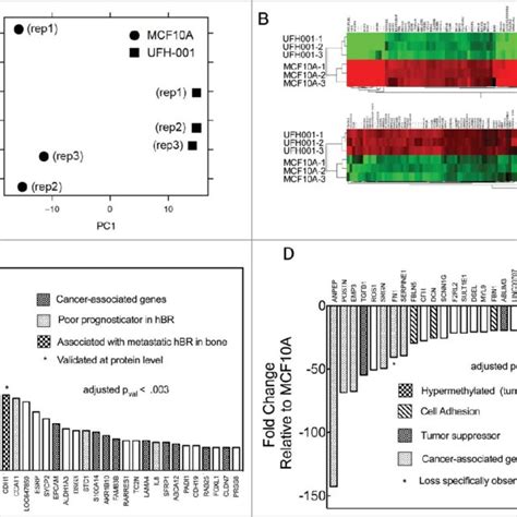 Microarray Data Panel A Principal Component Analysis Pca Of The