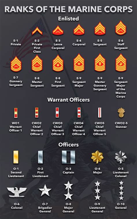 Marine Ranks And Insignias