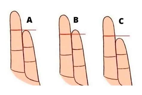 El Tamaño Del Dedo Meñique Revela Detalles Sobre La Personalidad