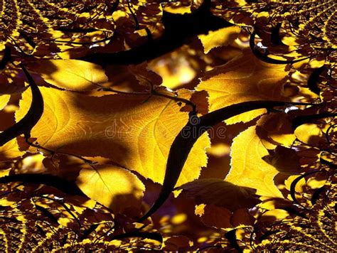 leaf with fractal rendering stock image image of leaf colors 179836301
