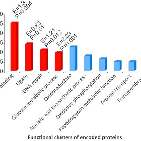Functional Clustering Of Encoded Proteins For 67 Candidate Genes These Download Scientific