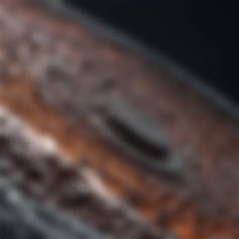 Immunohistochemistry Blocking Buffer Explained