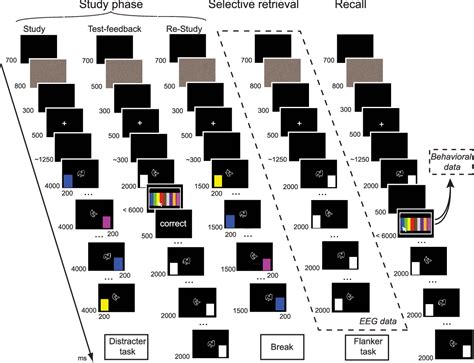 Figure 1 From Alpha Beta Oscillations Indicate Inhibition Of Interfering Visual Memories