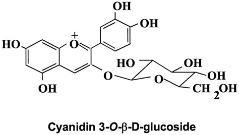 Dietary Cyanidin 3 O β D Glucoside Rich Purple Corn Color Prevents