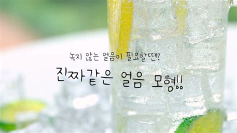 대한 녹지않는 얼음이 필요할땐 대한 얼음 모형🧊 Youtube