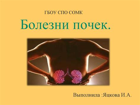 Болезни почек презентация онлайн
