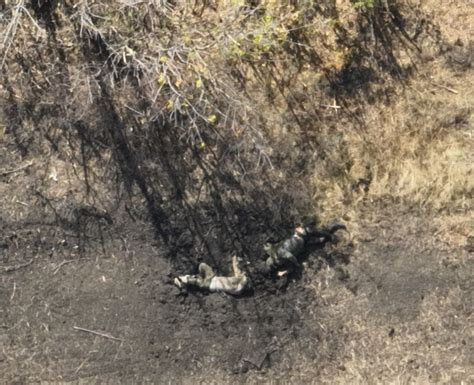 Nsfw Aftermath Photos Showing What A Failed Russian Assault In The Kupyansk Direction Looks