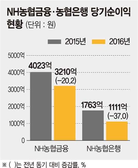 농협금융 작년 순익 3210억 빅배스에도 흑자전환 성공 파이낸셜뉴스