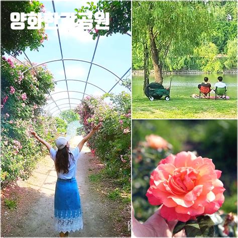 양화한강공원 장미 주차장 텐트 그늘막 정보 네이버 블로그