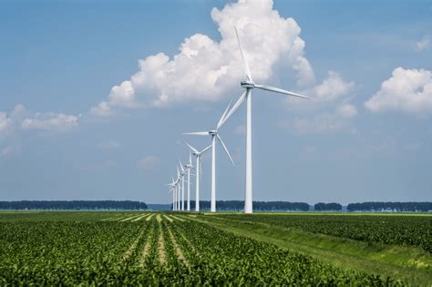 Harnessing The Power Of Wind With Hemp