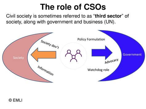 Understanding the GEF CSO Network and CSO evolving roles in GEF - ppt download