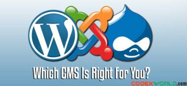 How To Access Website Without Domain Name Assigned CodexWorld