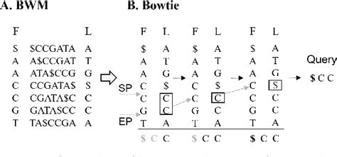 Figure 11 From A Review On Sequence Alignment Algorithms For Short