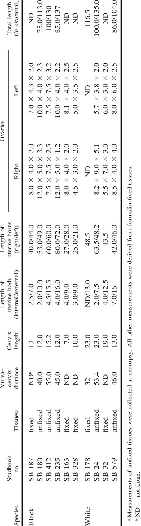 Dimensions Cm Of Female Rhinoceros Fixed And Unfixed Reproductive