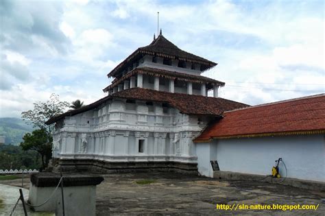 සයිබර් අවකාශයේ සොදුරු නවාතැන ශ්‍රී ලංකාතිලක රජ මහා විහාරය