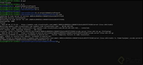 No Se Me Abre El Visual Studio Code Despues De Escribir Code