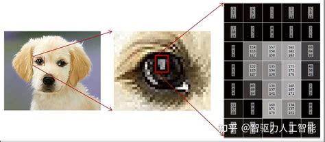 Jpeg图像压缩详解和代码实现 知乎