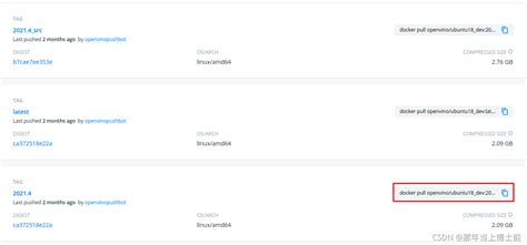 在docker上使用openvino开发和部署模型应用 docker openvino csdn博客
