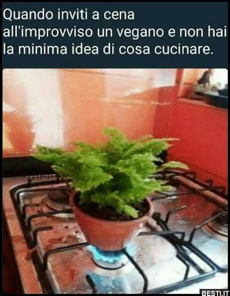 Inviti A Cena BESTI It Immagini Divertenti Foto Barzellette Video