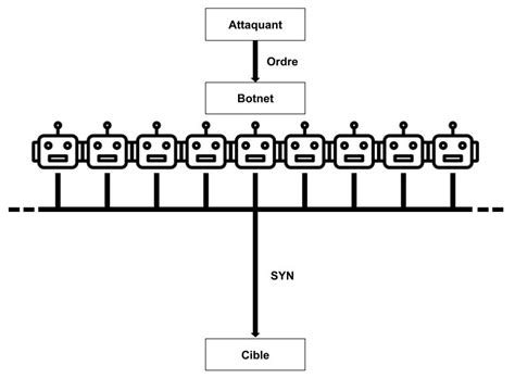 Algosecure Le Déni De Service