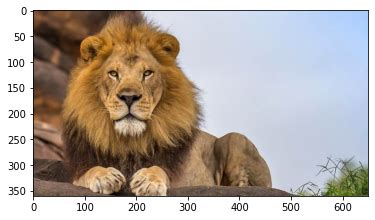 Python Pillow 创建一个水印 极客教程