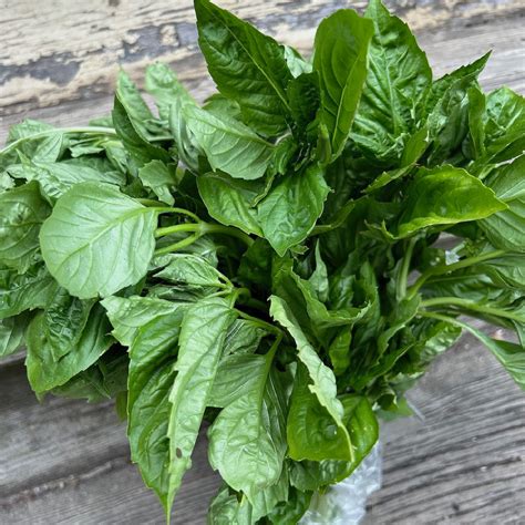 Basil Farmtab
