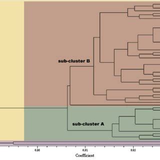 Dendrogram Constructed With Upgma Clustering Method Among Cluster