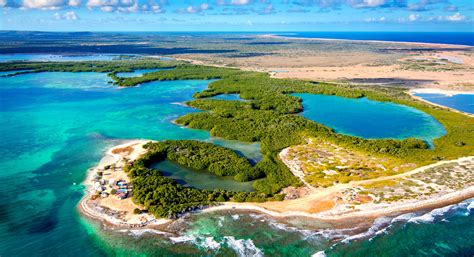The Mangroves Of Bonaire Bonaire Tours And Vacations Bonaire