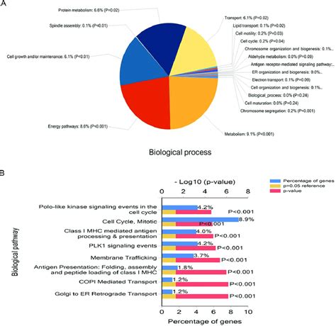 Functional Enrichment Analysis Of Genes Using Funrich Pie Graph Of