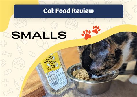 Smalls Cat Food Review 2024 Pros Cons And Verdict
