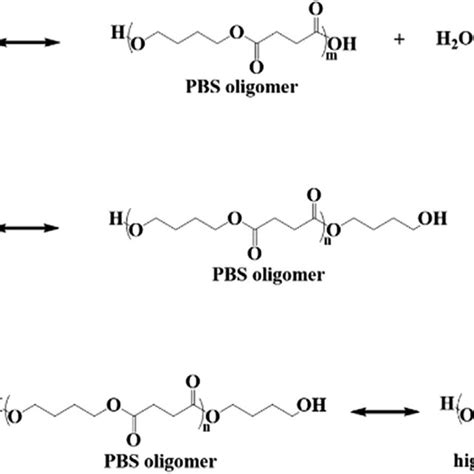 Synthesis Of Succinic Acid Through Sustainable Feedstock Versus