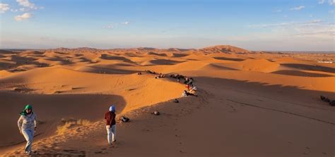 모로코 사하라사막을 향하여 낙타투어 아프리카 대장정 지구여행학교