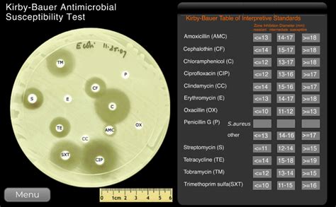 Combatting Microbes Antibiogram Dr Olis Microbiology Online Laboratory Manual