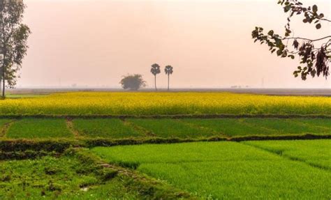 Bihar Govt To Release Its 4th Agriculture Road Map On April 1
