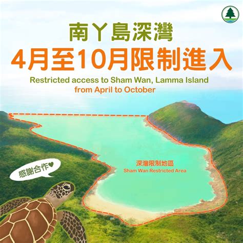 助綠海龜產卵繁衍 南丫島深灣限制區禁入至10月底 旅遊 香港中通社