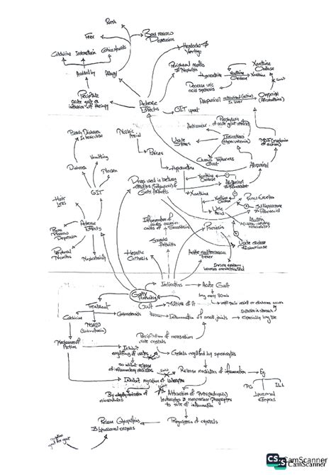 Gout Pharmacology Gout Camscanner Studocu
