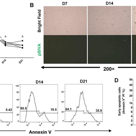 The Cd206 Expression Of Single Cell On Average After Withholding Of
