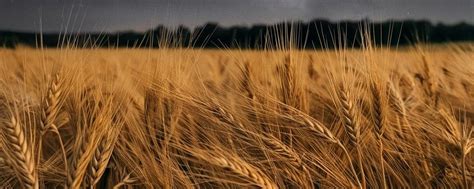 МОЕ СЕЛО Сельское хозяйство ‍ КФХ Аларского района АПК техника люди 2025 ВКонтакте